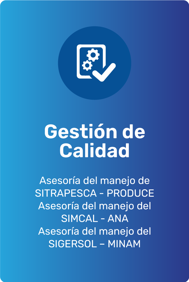 QSS GLOBAL – Quality Solution Services Global SAC